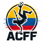 The World Freestyle Football Association
